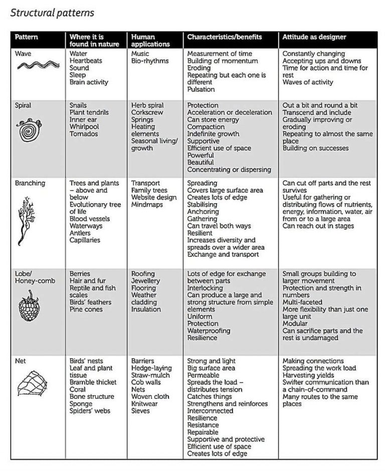 Patterns and Biomimicry – Permaculture Womens Guild